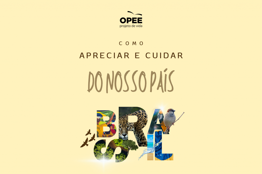 Como apreciar e cuidar do nosso país – OPEE Educação